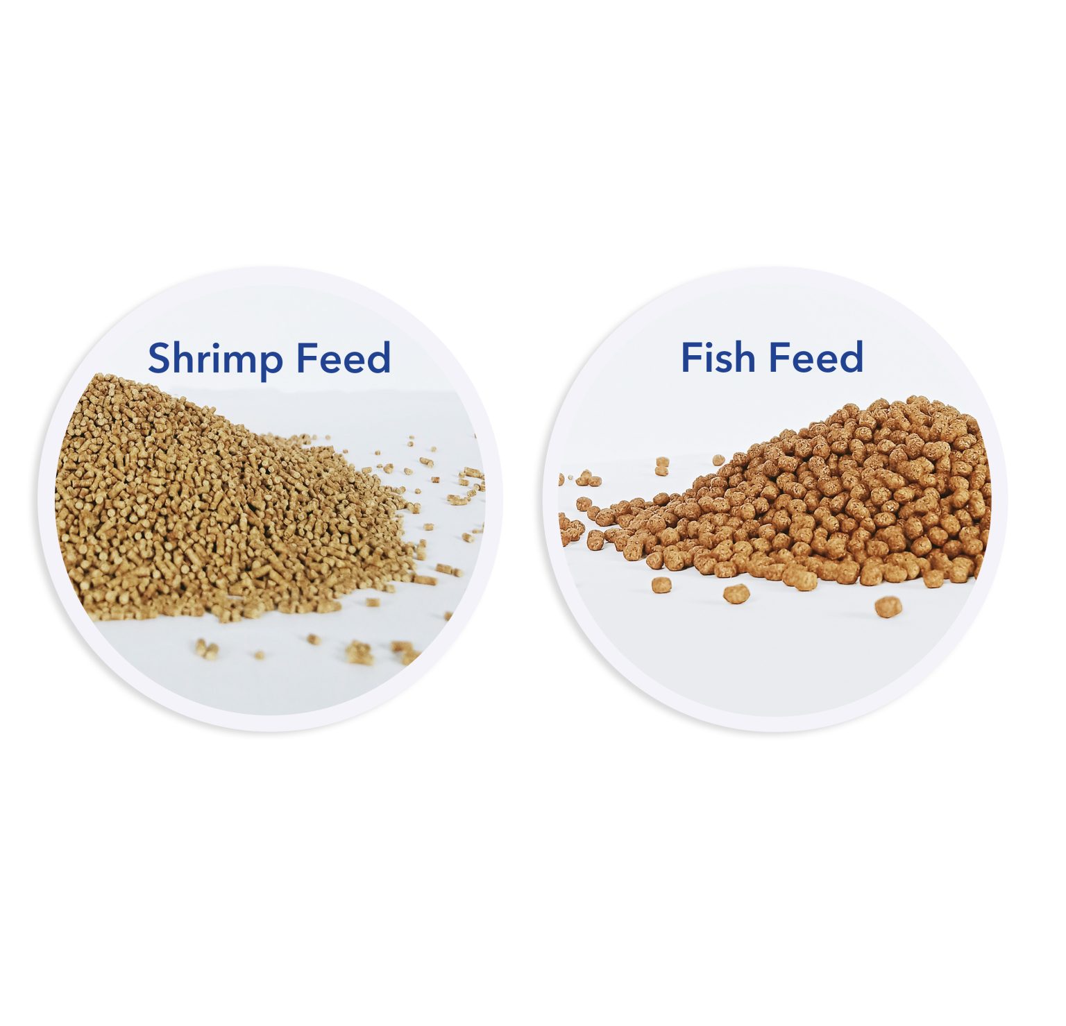 Sekar Bumi | Feed | Pioneers of Quality Frozen Food