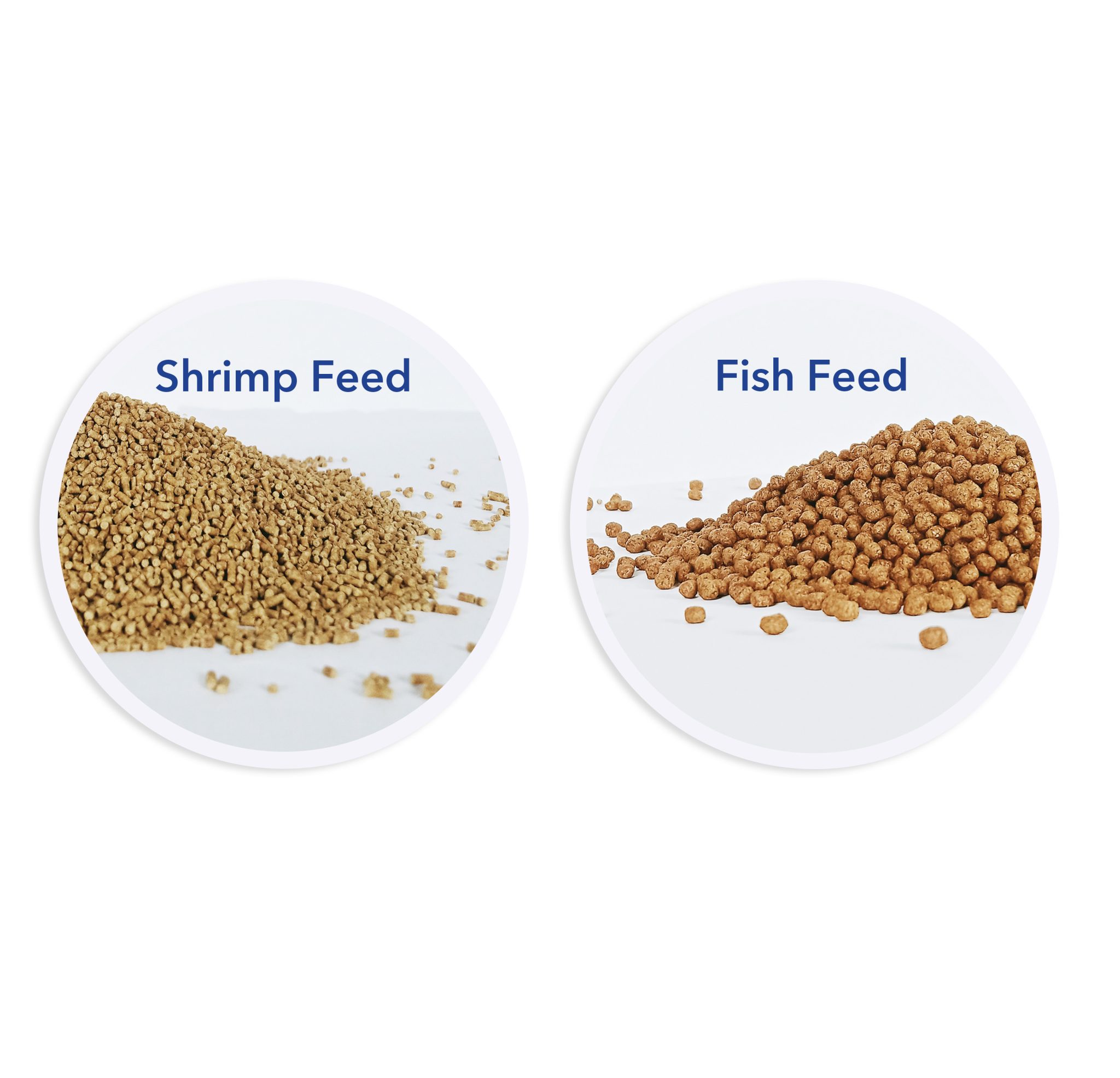 Sekar Bumi | Feed | Pioneers of Quality Frozen Food